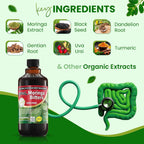 organic moringa bitters for immune support