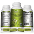 organic moringa capsules for energy