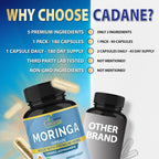 Organic moringa extract for better health