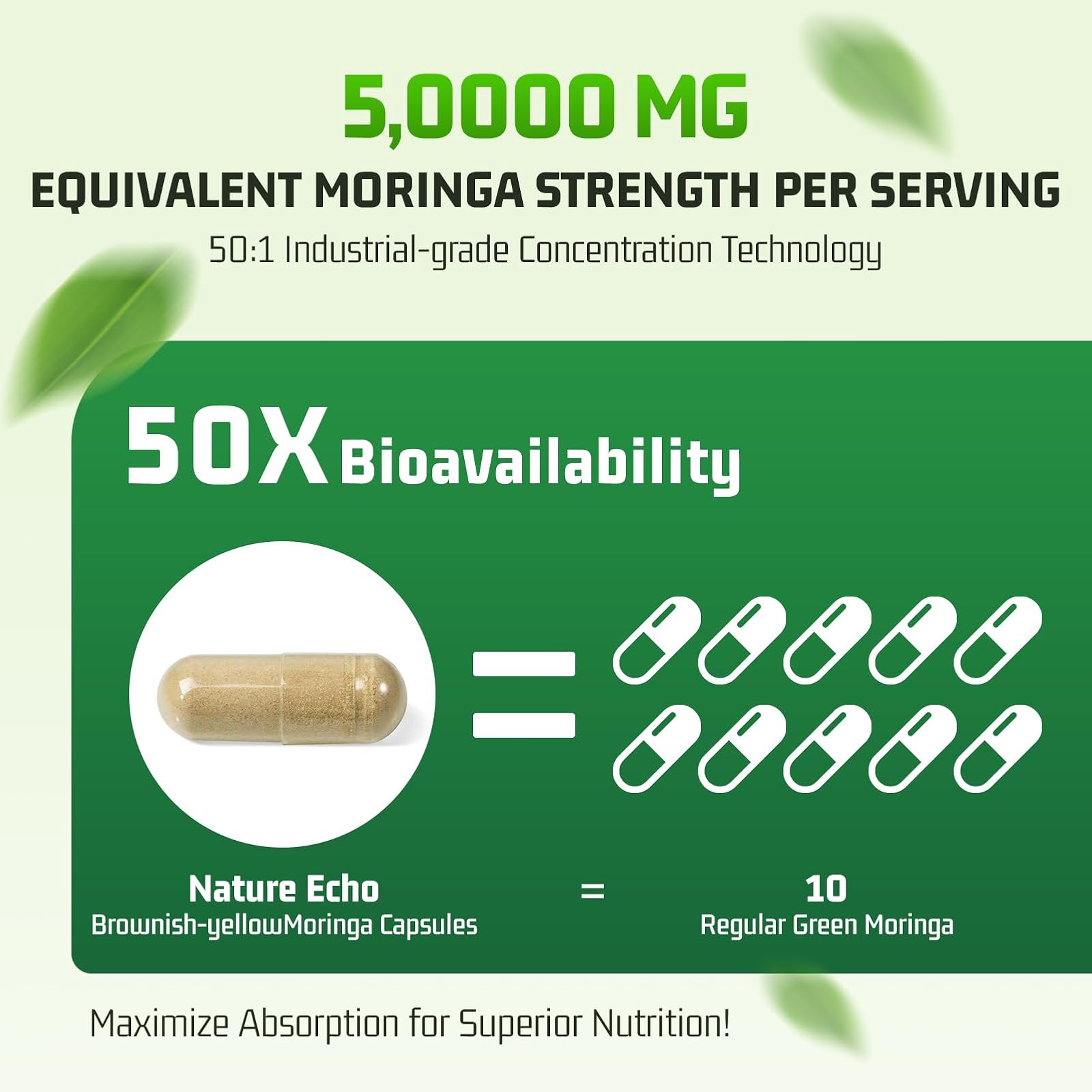 Organic Moringa extract for vitality