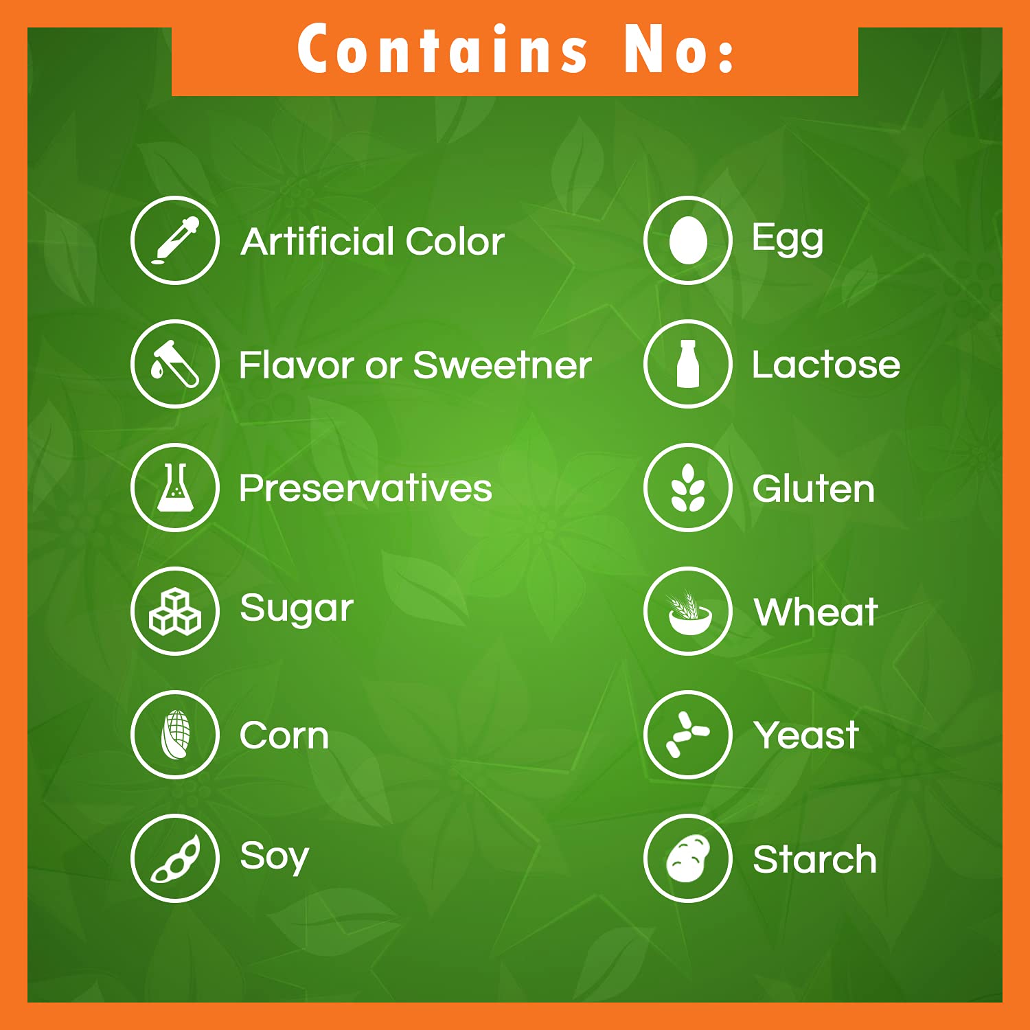 organic moringa for daily energy