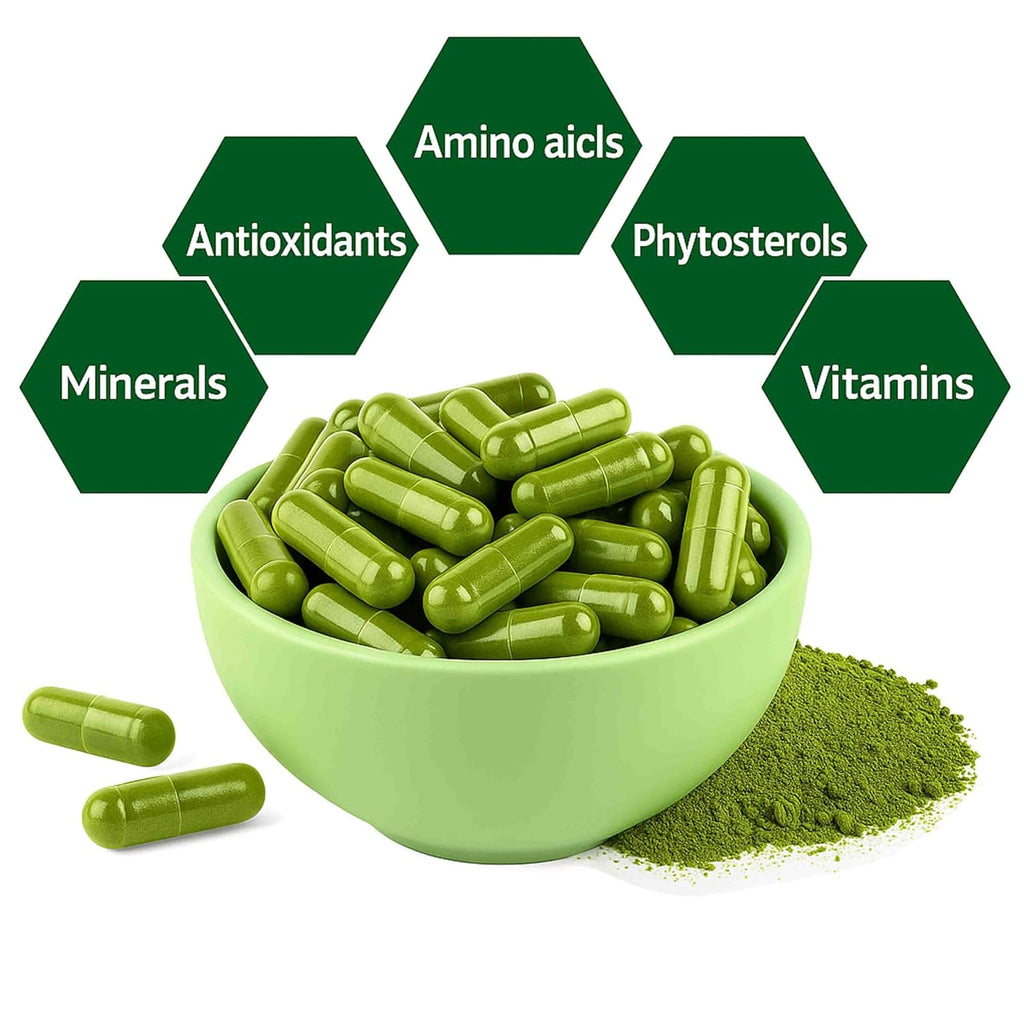 Organic Moringa for energy boost
