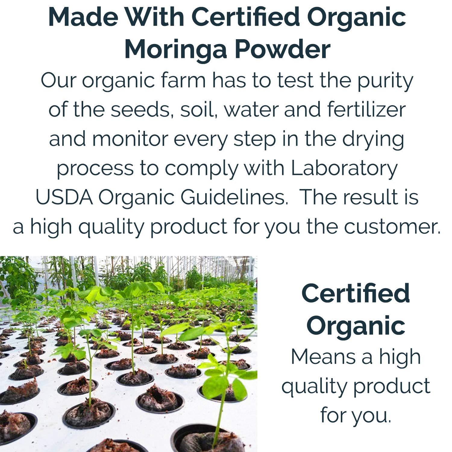 organic moringa for healthy lifestyle