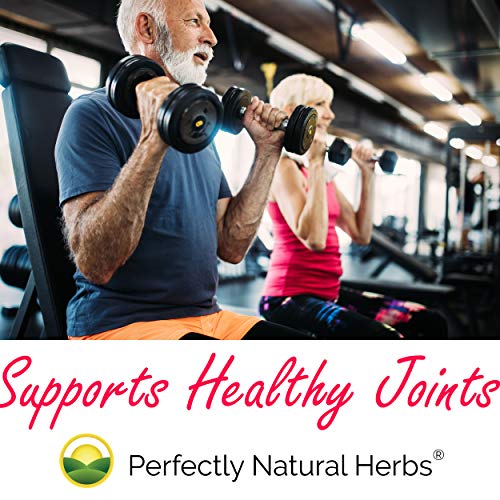organic moringa for holistic wellness