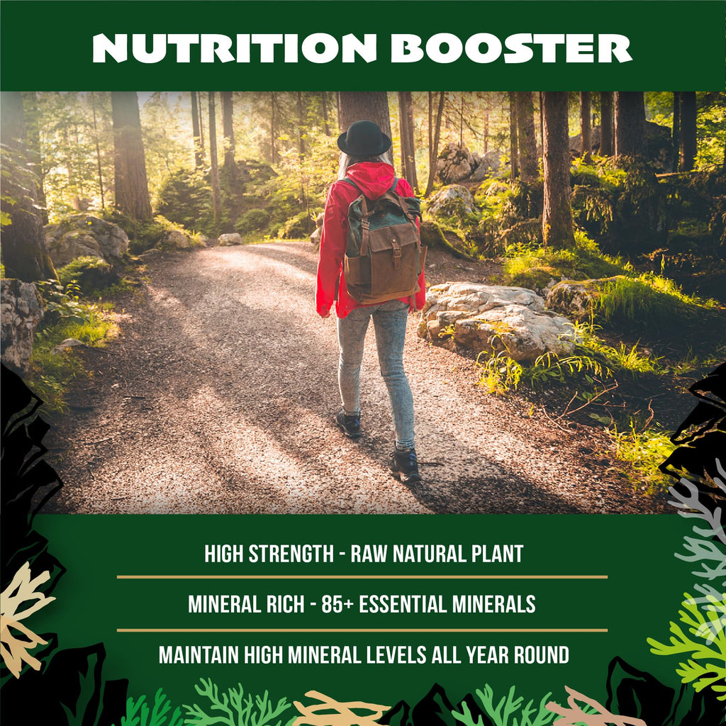 organic moringa for immune support
