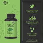 Organic moringa for immune support