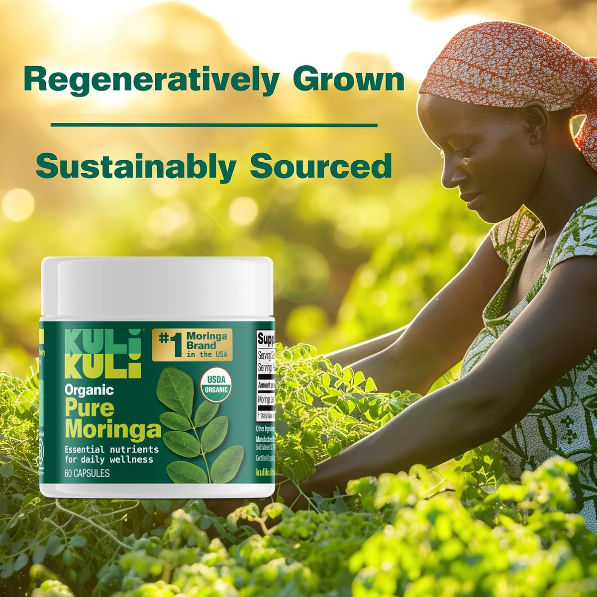 organic moringa for overall health