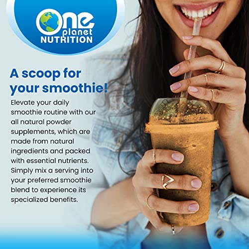 organic moringa for plant-based diets
