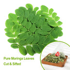 organic moringa herbal tea for wellness