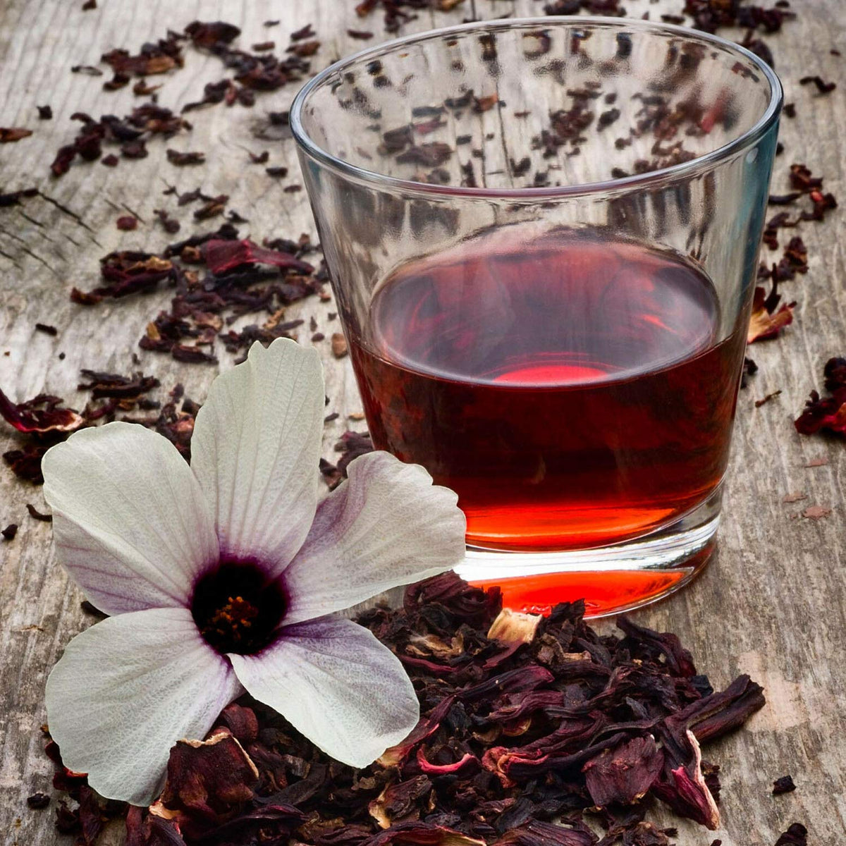 Organic Moringa Hibiscus tea benefits