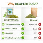 organic Moringa leaf tea experience