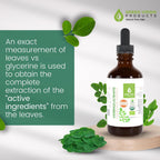 organic moringa liquid for energy