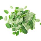 Organic Moringa powder for smoothies