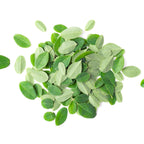 organic moringa powder for smoothies