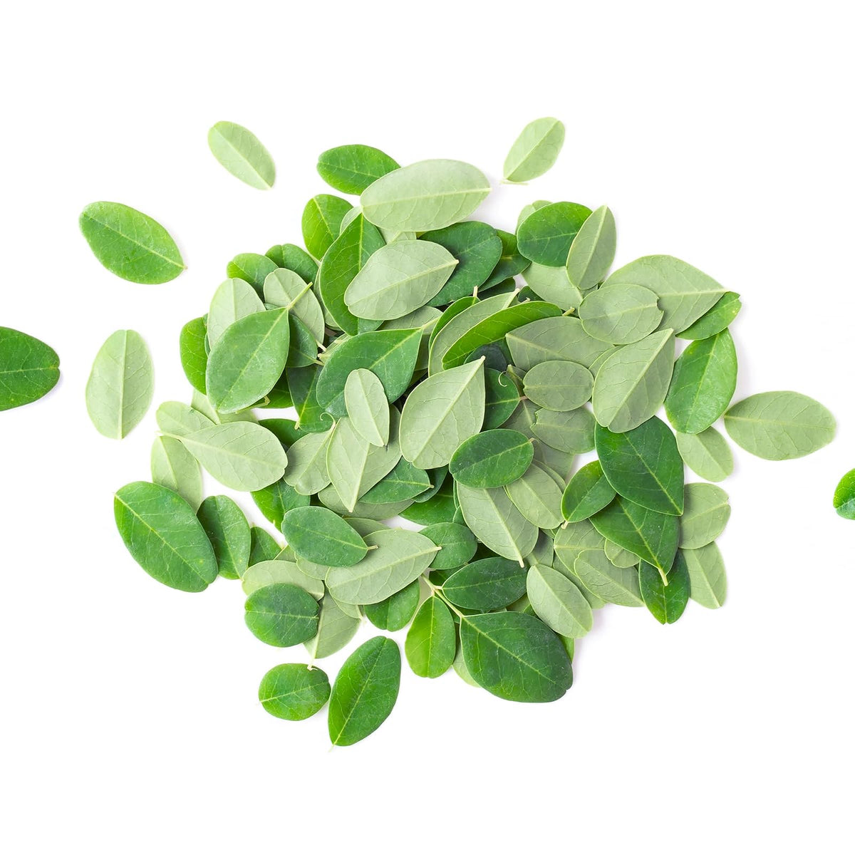 organic moringa powder for smoothies