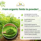 organic moringa powder for wellness