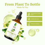 organic moringa seed oil benefits
