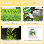 organic moringa tea bags for energy