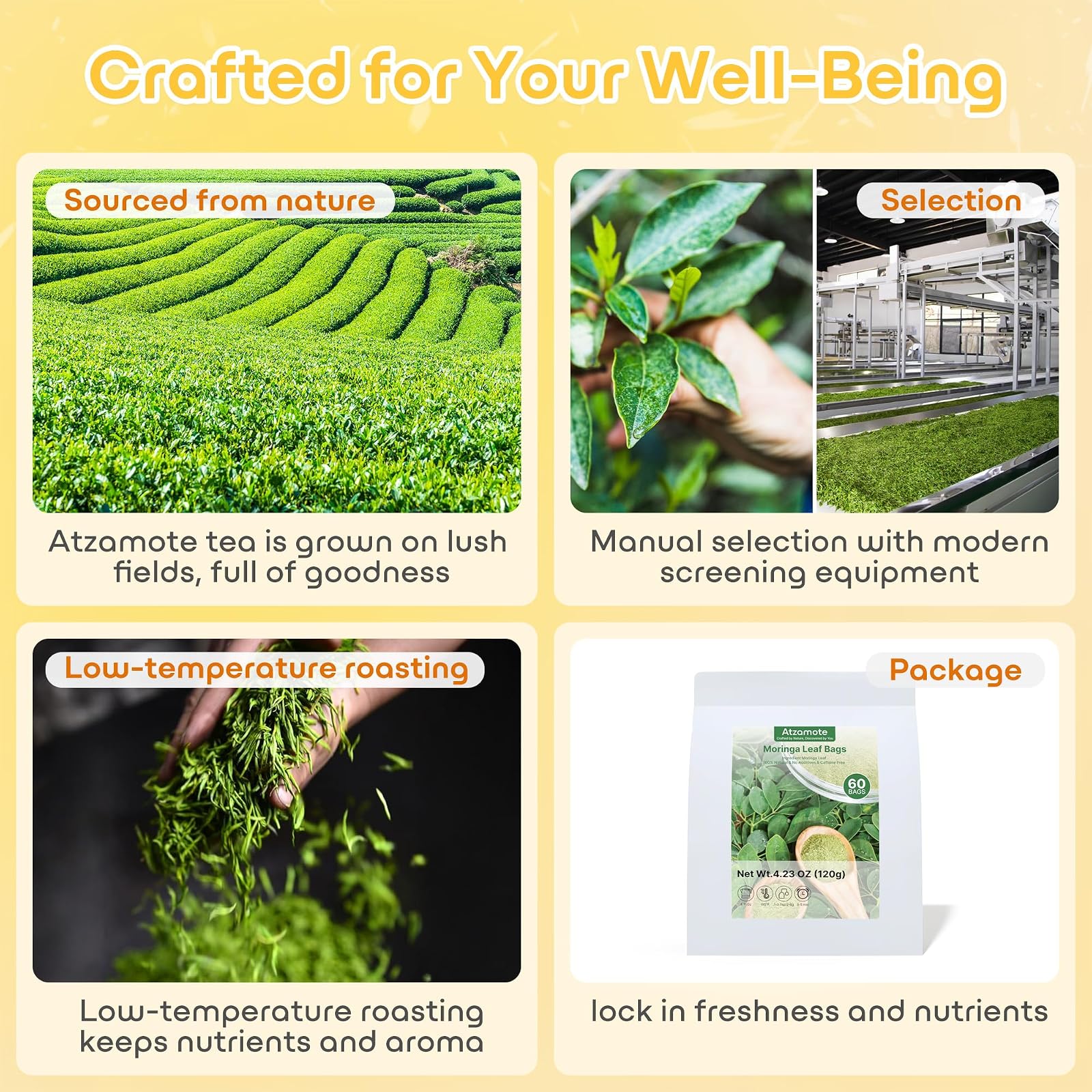 organic moringa tea bags for energy