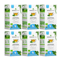 organic moringa tea bags