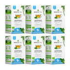 organic moringa tea bags