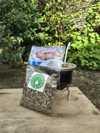Organic mountain herbs herbal infusion