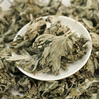 organic mugwort for herbal infusions