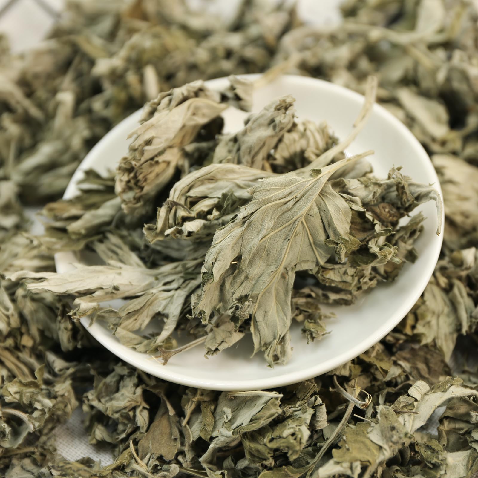 organic mugwort for herbal infusions
