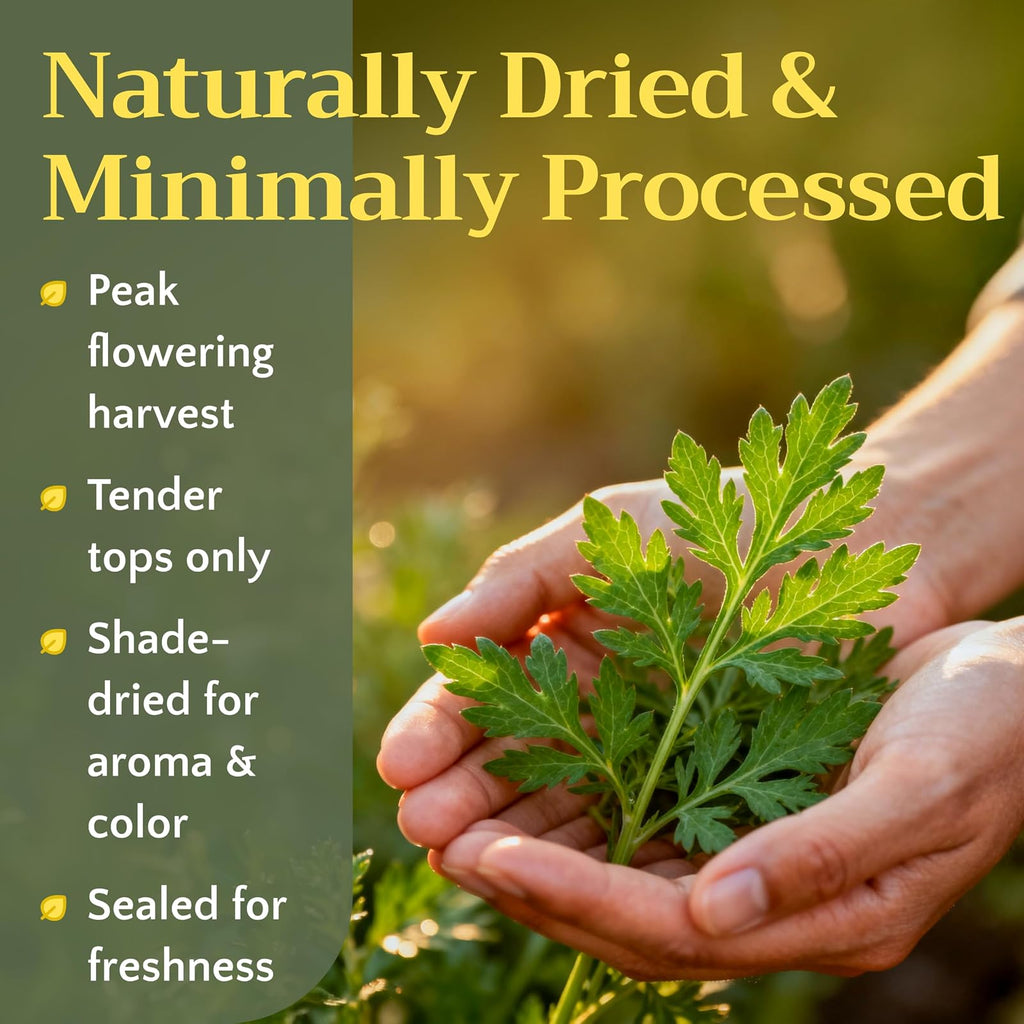 Organic mugwort tea leaves