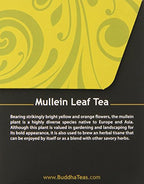 Organic Mullein Leaf Tea Benefits