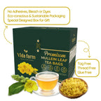 organic mullein leaf tea benefits