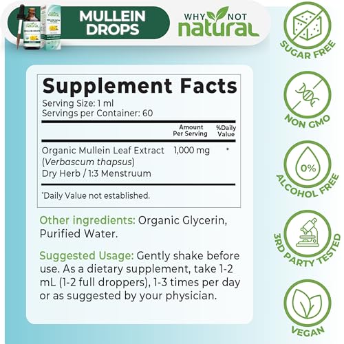 organic mullein leaf tincture for daily support