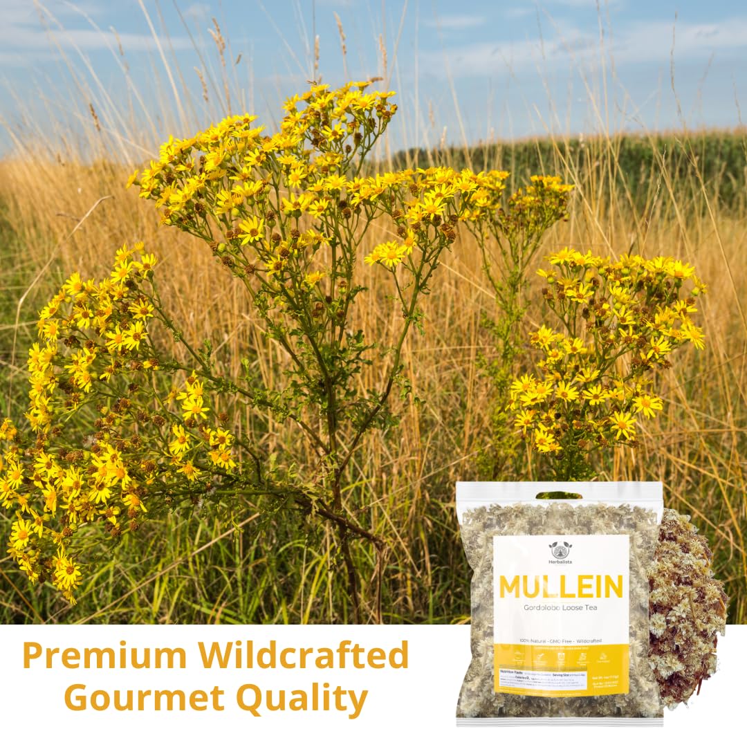 Organic mullein petals for soothing brews