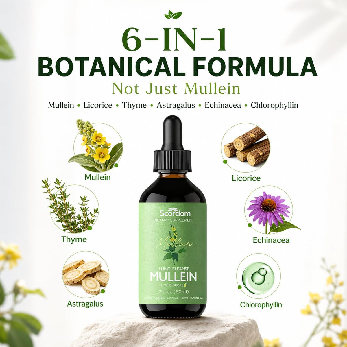 Organic Mullein tincture for immune support