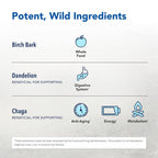 Organic mushroom adaptogen powder