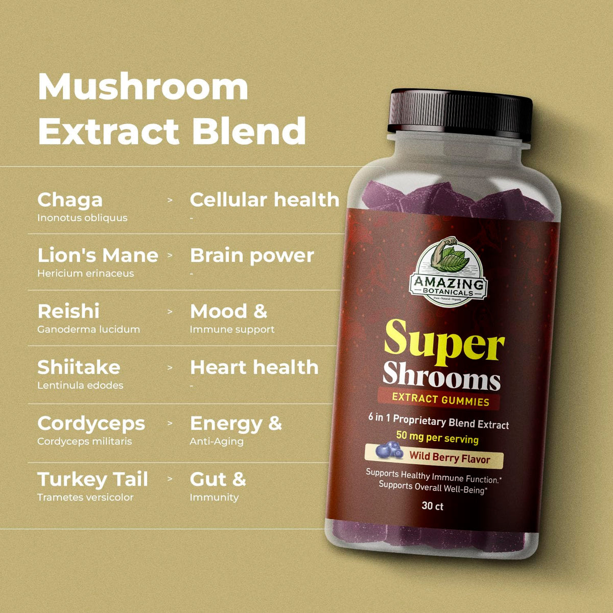 Organic mushroom blend for immunity