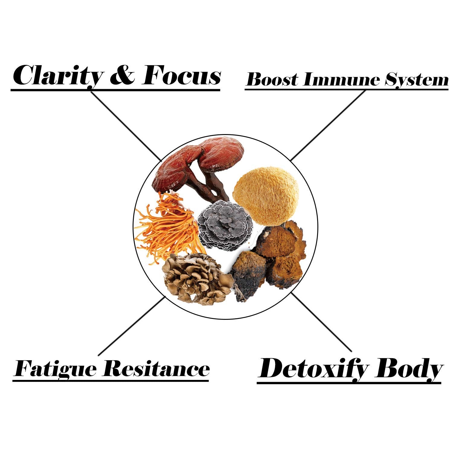 organic mushroom blend for vitality