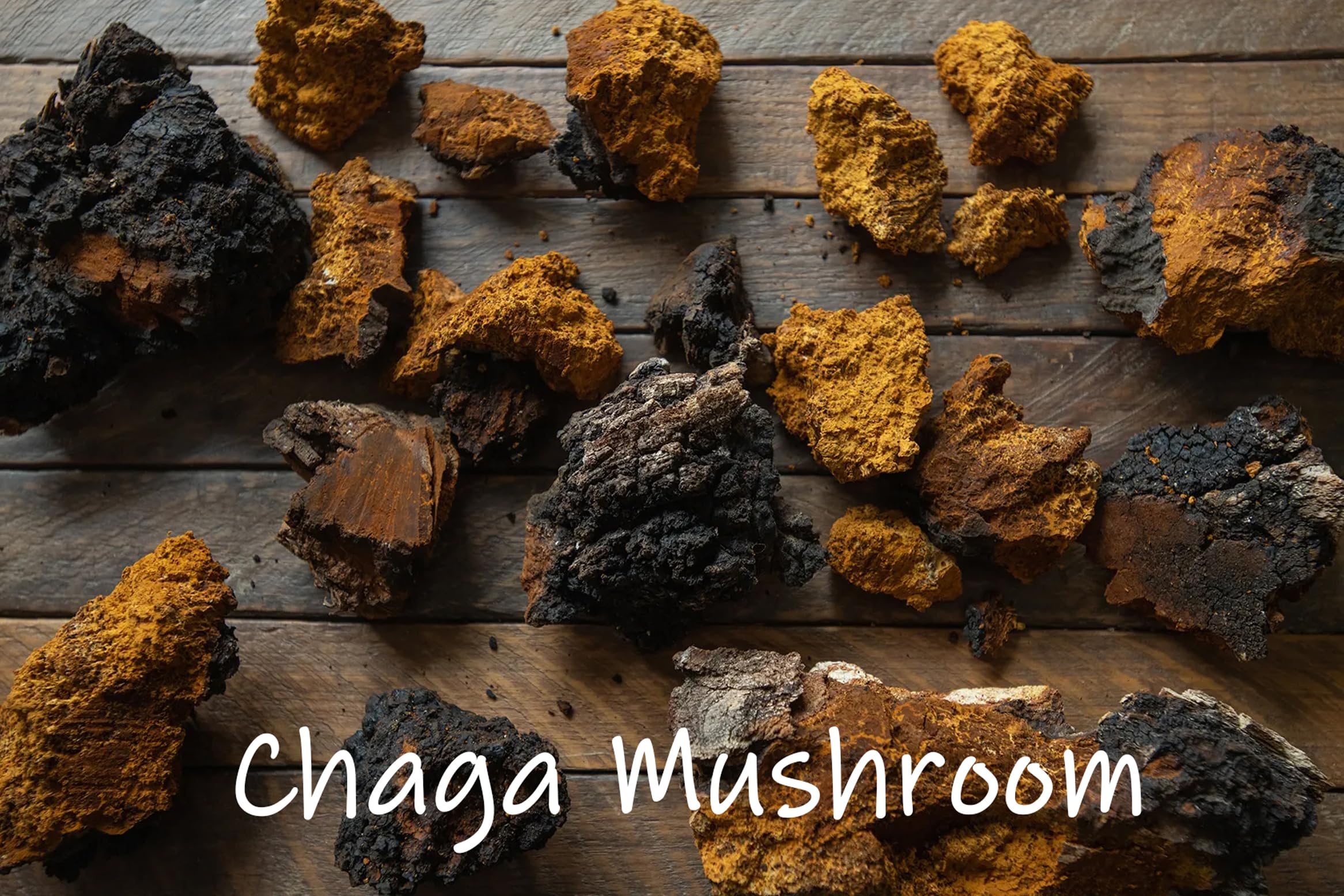 organic mushroom blend for vitality