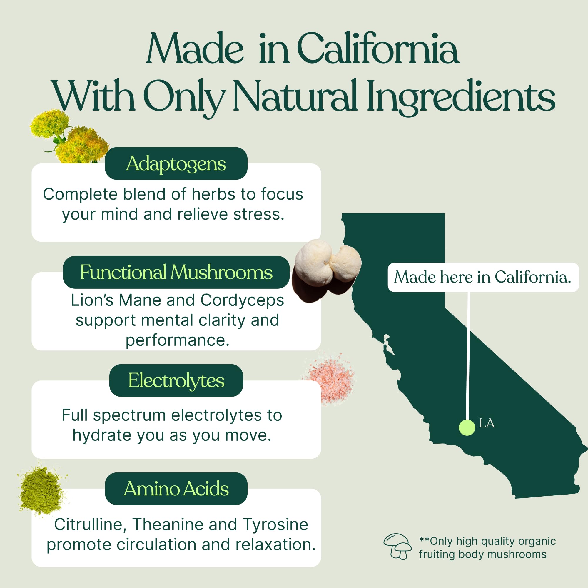 organic mushroom blend for vitality