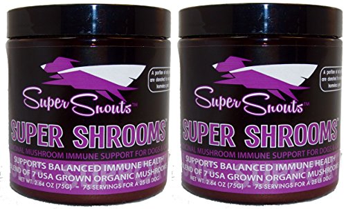 organic mushroom blend for wellness