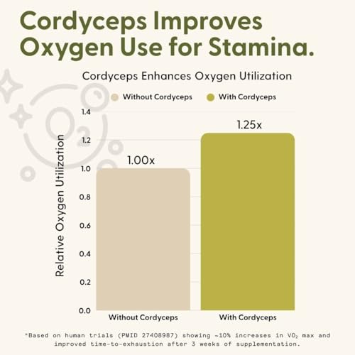 organic mushroom blend for wellness