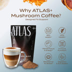 organic mushroom blends for energy