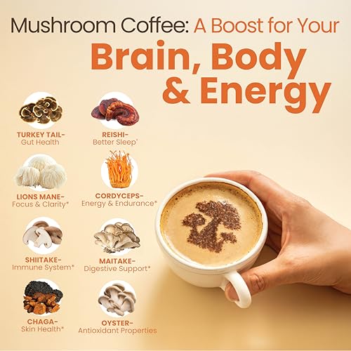 Organic mushroom blends for focus
