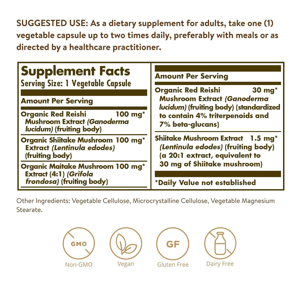 Organic mushroom blends for wellness