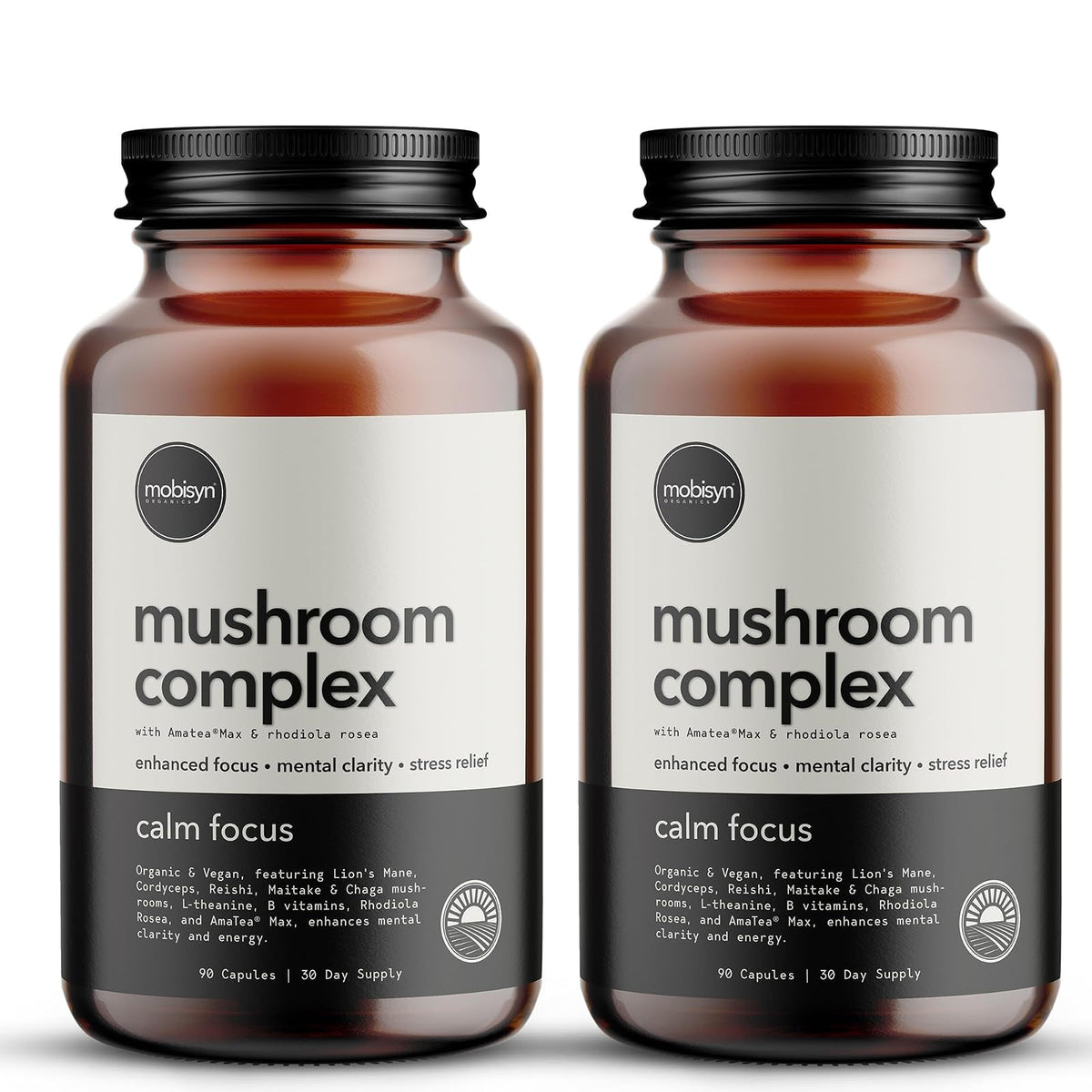 organic mushroom blends for wellness