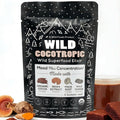 organic mushroom blends hot cocoa