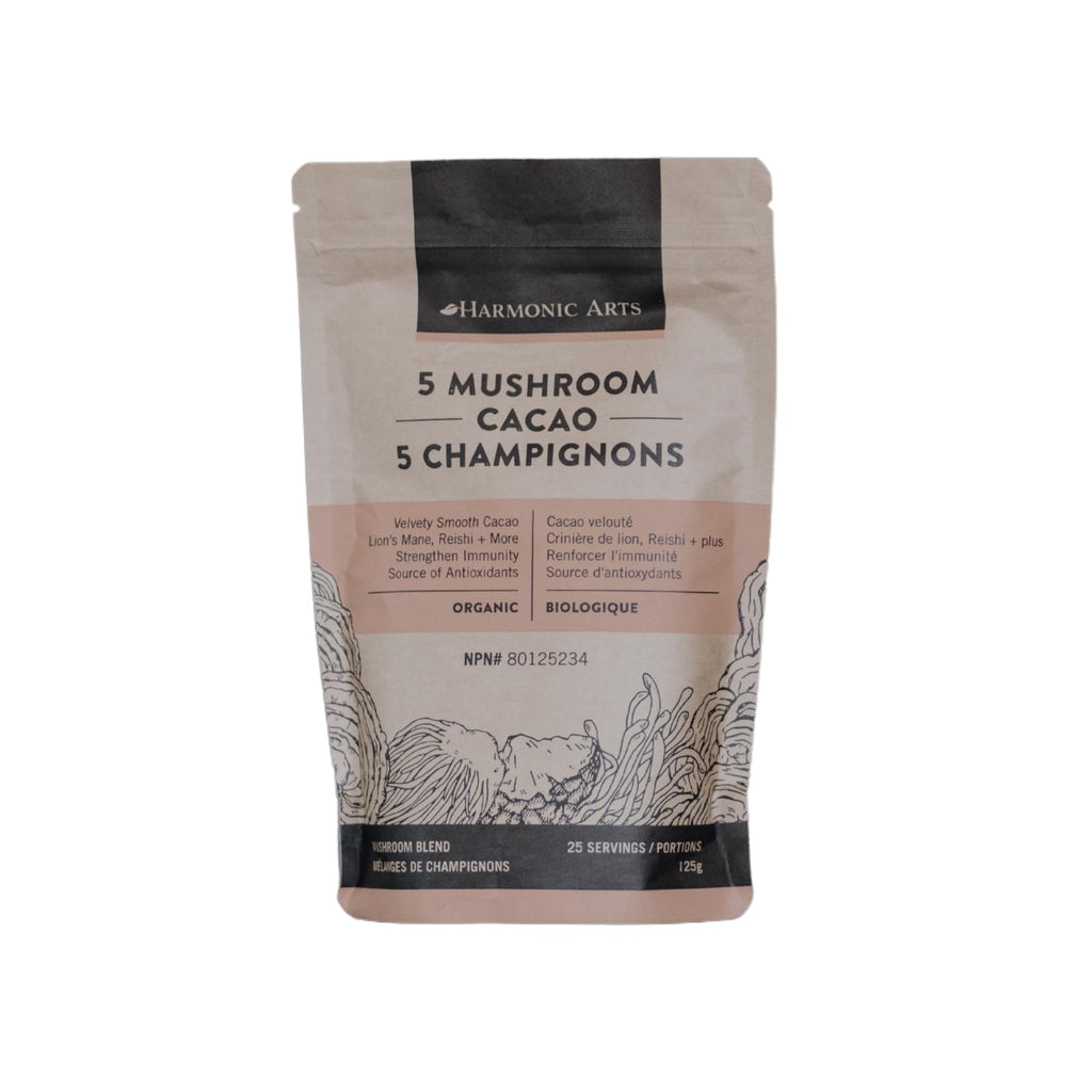 organic mushroom cacao latte
