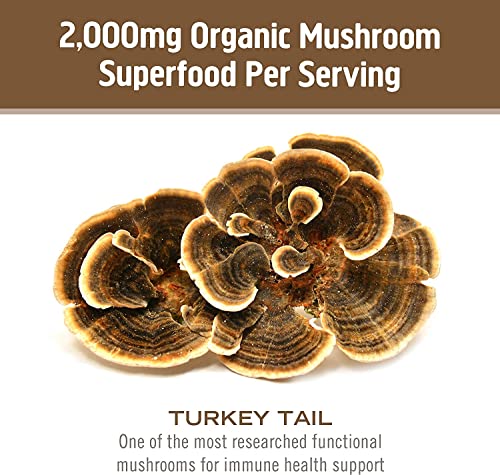 organic mushroom capsules for immunity