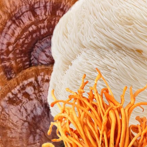 Organic mushroom capsules for vitality