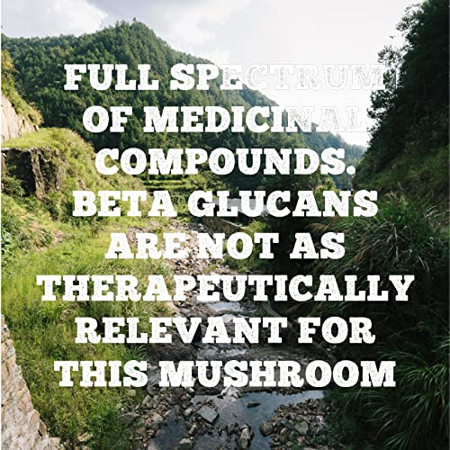organic mushroom capsules for wellness